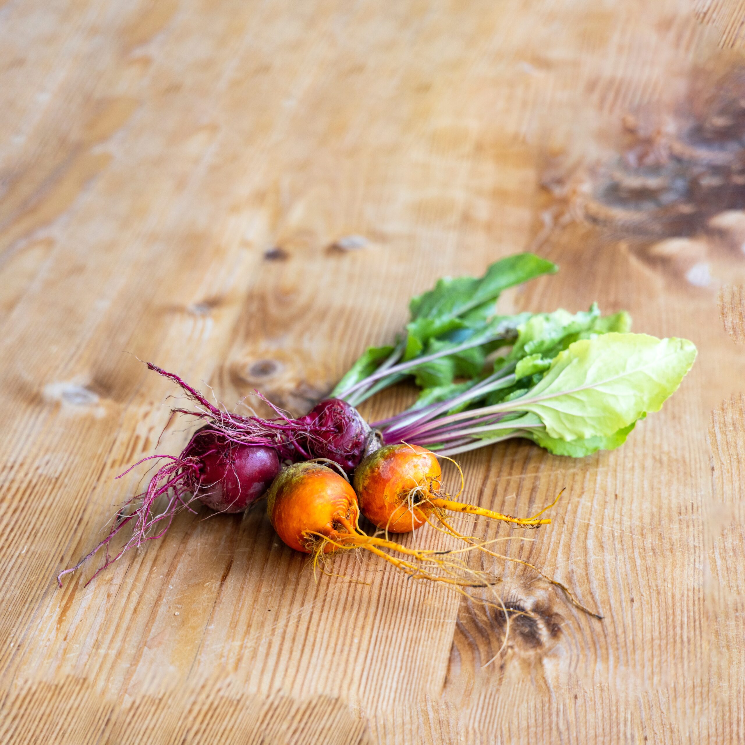 No Nightshade Ratatouille - Lora Ulrich